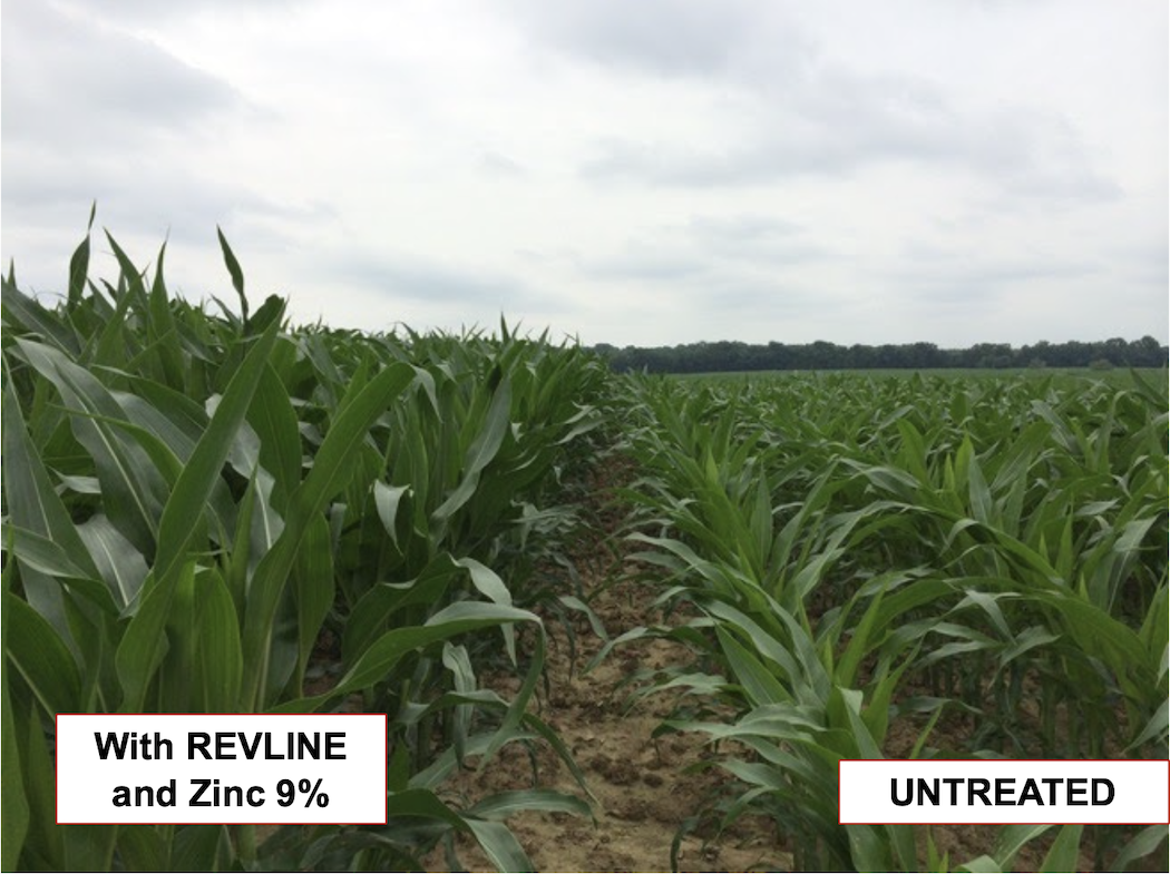 Service [Meristem] – VanTrump Ag Solutions